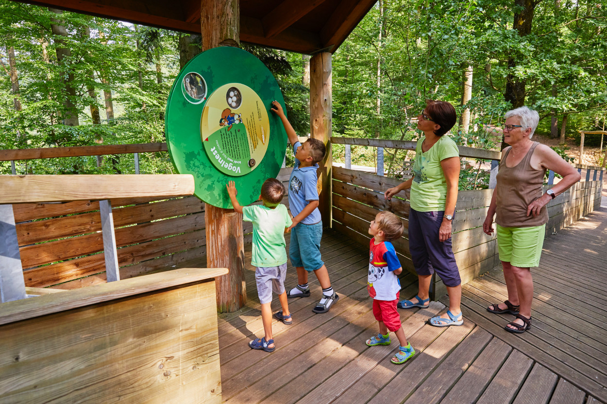 Knowledge game | Baumkronenweg Waldkirch - Have fun discovering the ...